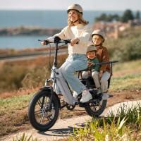 China Long Range 250w 500w 750w 1000w Electric Bike Cargo Bike for Urban & Family Use for sale