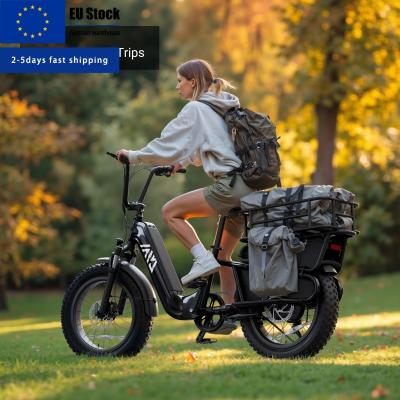 China surron EU Stock  Electric Cargo Bike 1000w for Urban & Family Use, 2-3 Kids & Pet Seats for sale