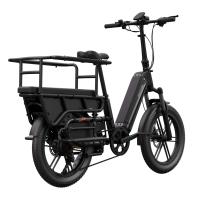 China surron EU Stock  Electric Cargo Bike 1000w for Urban & Family Use, 2-3 Kids & Pet Seats for sale