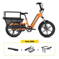 China 2025 New 750W Powerful Fat Tire Electric Bicycle Snow/Sand/MTB E-Bike Cargo Bike for sale