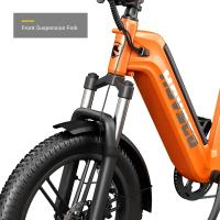 China 2025 New 750W Powerful Fat Tire Electric Bicycle Snow/Sand/MTB E-Bike Cargo Bike for sale