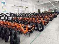 China 2025 New 750W Powerful Fat Tire Electric Bicycle Snow/Sand/MTB E-Bike Cargo Bike for sale
