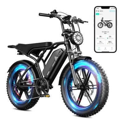 China 20 Inch E-Bikes Vintage BikeStrong Powerful Motor Removable Long Range Battery Electric Fat Bike Big Tire Ebike for sale