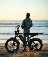 China EU Free Shipping 7 Speed Fat Bike with Removable Lithium Battery Thumb Throttle City E-Bicycle for Teenagers 250W for sale