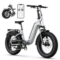 China Yeestep 48V 25km/h Foldable Electric Bike Fatbike Electric Folding Bike with 15Ah Battery 250W Light Steel Frame Electric Cycle for sale