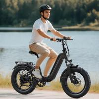 China Yeestep 48V 25km/h Foldable Electric Bike Fatbike Electric Folding Bike with 15Ah Battery 250W Light Steel Frame Electric Cycle for sale