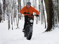 China 20 Inch Fat Tire Electric Bike 750W 48V Folding E Bike All Terrain Snow Beach Mountain Bicycle for Europe for sale