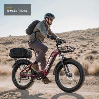 China 20''*4.0 250W Full Suspension Electric Bike 20 Inch Fat Tire Ebike Rear Hub 20 Inch Lithium City Commuter Hydraulic Disc Brakes for sale
