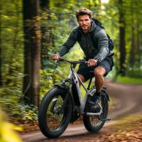 China 2025 New 26 Inch Retro Off Road Fat Tire Off Road Electric Bike 750W 48V 15Ah Stock Available for sale