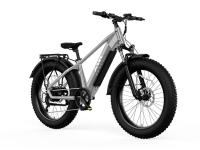 China 2025 New 26 Inch Retro Off Road Fat Tire Off Road Electric Bike 750W 48V 15Ah Stock Available for sale