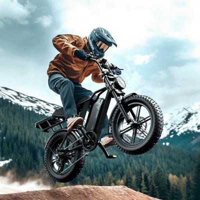 China 48V 15AH Lithium Battery 750W 20-Inch Fat Tire Adult Electric Bike Steel Frame 7-Speed Hydraulic Disc Brakes for sale