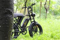 China 48v 15ah 20ah 25km/h Electric Bike 750w 20inch Fat Tire E-bike 750w Electric Bicycle Steel EU  Warehouse Adult Fatbike for sale