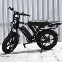 China V20 20inch Electric Bike 48V 15Ah Steel Frame Fatbike 250W Lithium Battery LCD Rear Hub Motor 20 Inch 7 Speed V20 Pro for sale