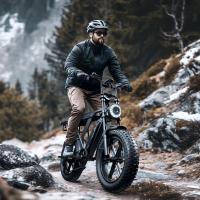 China 2025 EU Warehouse High Quality 750W Electric Mountain Bike for Adults 60km Range 48V 1500W Motor Power Road E-Bike Fast Delivery for sale