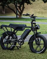 China 2025 EU Warehouse High Quality 750W Electric Mountain Bike for Adults 60km Range 48V 1500W Motor Power Road E-Bike Fast Delivery for sale