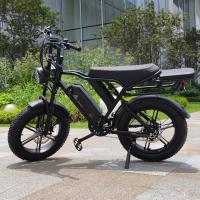 China R002 OEM 48V V8 Electric Moped Fatbike Eu Stock 20inch 4.0 Electric Bike 750w Bicicleta Electrica High Speed Ebike Off Road for sale