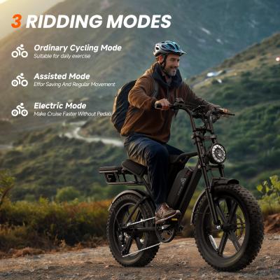 China 20''*4.0 1500W Electric Bike Rear Hub Motor 48v Moped-style Sport Fat Tire Bike Power Supply 15ah Lithium Battery Brushless for sale