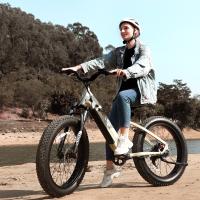 China 48V 26'' Lightweight Metal Frame Step-Thru City E-Bike 1300W Rear Hub Motor 80km Range Rated Tire for Commuting for sale
