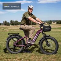 China EU/UK Stock Dual Motor 1200W Electric Bike with 80km Range 48V Hydraulic Disc Brakes Fat Tire Legal for Off-Road Use Steel Frame for sale