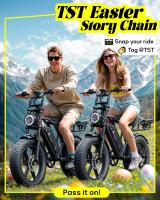 China V20 20inch Electric Bike 48V 15Ah Steel Frame Fatbike 750w Lithium Battery LCD Rear Hub Motor 20 Inch 7 Speed V20 Pro for sale