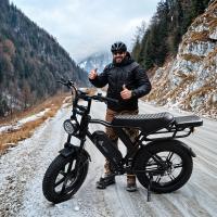 China V20 20inch Electric Bike 48V 15Ah Steel Frame Fatbike 750w Lithium Battery LCD Rear Hub Motor 20 Inch 7 Speed V20 Pro for sale