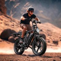 China Fatbike EU AU Warehouse 750W Brushless Steel Frame 48V 15AH Long Range Electric Hybrid Bike E-Bike Ebike for sale