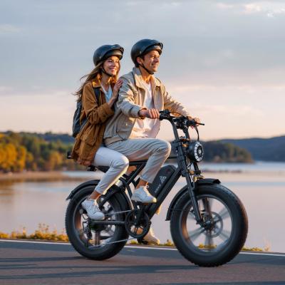 China EU TST R002 Plus Full Suspension 25km/h Electric Bike 48V Electric Hybrid Bike Pedelec Electric City Bike Fatbike Electric Bike for sale