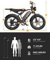 China 750W  1500W Fat Tire Electric Dirt Bike 48V 15/20AH Removable 48V Lithium 25km  Suspension 20