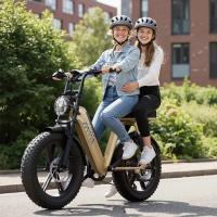 China 20 Fat Tire Electric Bike for Women & Family Cargo & City Commuting 48V 15Ah 750W Dual Suspension for sale