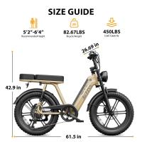 China 20 Fat Tire Electric Bike for Women & Family Cargo & City Commuting 48V 15Ah 750W Dual Suspension for sale