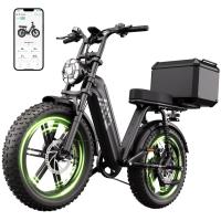 China 20 Fat Tire Electric Bike for Women & Family Cargo & City Commuting 48V 15Ah 750W Dual Suspension for sale