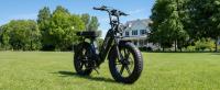 China 20 Fat Tire Electric Bike for Women & Family Cargo & City Commuting 48V 15Ah 750W Dual Suspension for sale