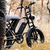 China OEM EU Warehouse 48v 15ah 20ah 25km/h Electric Bike 750w 20inch Fat Tire E-bike 750w Electric Bicycle Steel  Adult Fatbike for sale