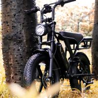 China OEM EU Warehouse 48v 15ah 20ah 25km/h Electric Bike 750w 20inch Fat Tire E-bike 750w Electric Bicycle Steel  Adult Fatbike for sale