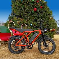 China R002 Electronic EBike High Speed Long Range Brushless Electric Dirt Bike Disc Brake 15A Li-ion Battery City Bike Digital 7 Speed for sale