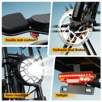 China BR OEM Brasil Bicicleta Elétrica Yeestep Electric Bike 1000W Fat Tire Ebike 48V Battery 20