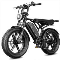China Adult Electric Bike 250W for Motor 48V 15Ah Built-in Battery 60 Miles Range 25km/h 20