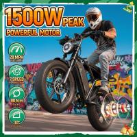China Adult Electric Bike 250W for Motor 48V 15Ah Built-in Battery 60 Miles Range 25km/h 20