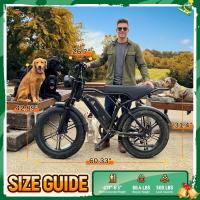 China Adult Electric Bike 250W for Motor 48V 15Ah Built-in Battery 60 Miles Range 25km/h 20