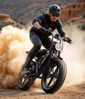 China Cheap 1000W Fat Tire Ebike Electric Mountain Bike with E Bike Battery for sale