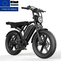 China surron ultra Bee 2025 250w 500w 750w1000W Electric Cycle Electric Bike with E Bike Battery for sale