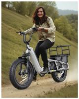 China Fat Tire Electric E Bike for Adults USA Stock E-bike FEbike Electric Bike Lithium Battery Electric Bicycle Cargo Bike for sale