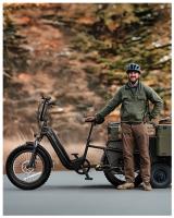 China Fat Tire Electric E Bike for Adults USA Stock E-bike FEbike Electric Bike Lithium Battery Electric Bicycle Cargo Bike for sale