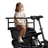 China Fat Tire Electric E Bike for Adults USA Stock E-bike FEbike Electric Bike Lithium Battery Electric Bicycle Cargo Bike for sale