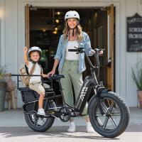 China UK New Arrival 20inch Fat Tire Ebike High Power Motor 7 Speed Fat Electric Cargo Bicycle with Rear Rack for sale