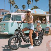 China UK New Arrival 20inch Fat Tire Ebike High Power Motor 7 Speed Fat Electric Cargo Bicycle with Rear Rack for sale