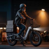 China Hot Selling Good Motor E-Bike Fat Tire Cargo Bike Fatbike Electric Bicycle China Fat Bike Cargo Bike for sale