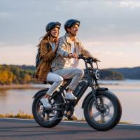 China UK New Arrival 20inch Fat Tire Ebike High Power Motor 7 Speed High Speed Bike Fat Electric Bicycle with Rear Rack for sale