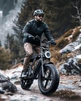 China 20 Inch Fat Tire Ebike High Power Motor 7 Speed High Speed Bike V8 V20 Fat Electric Bicycle with Rear Rack for sale