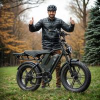 China Step Over Retro Fat Tire Ebike with Comfortable Wide Saddle V8 V20 Fat Electric Bicycle with Rear Rack for sale